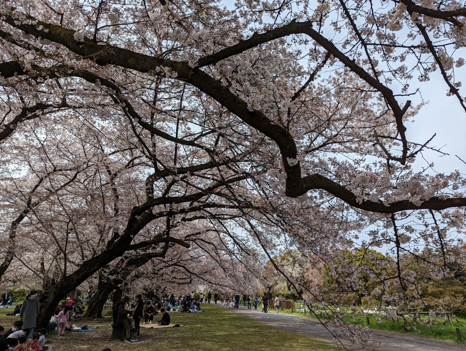 April is the season of beginnings in Japan | Japanese Daily Life