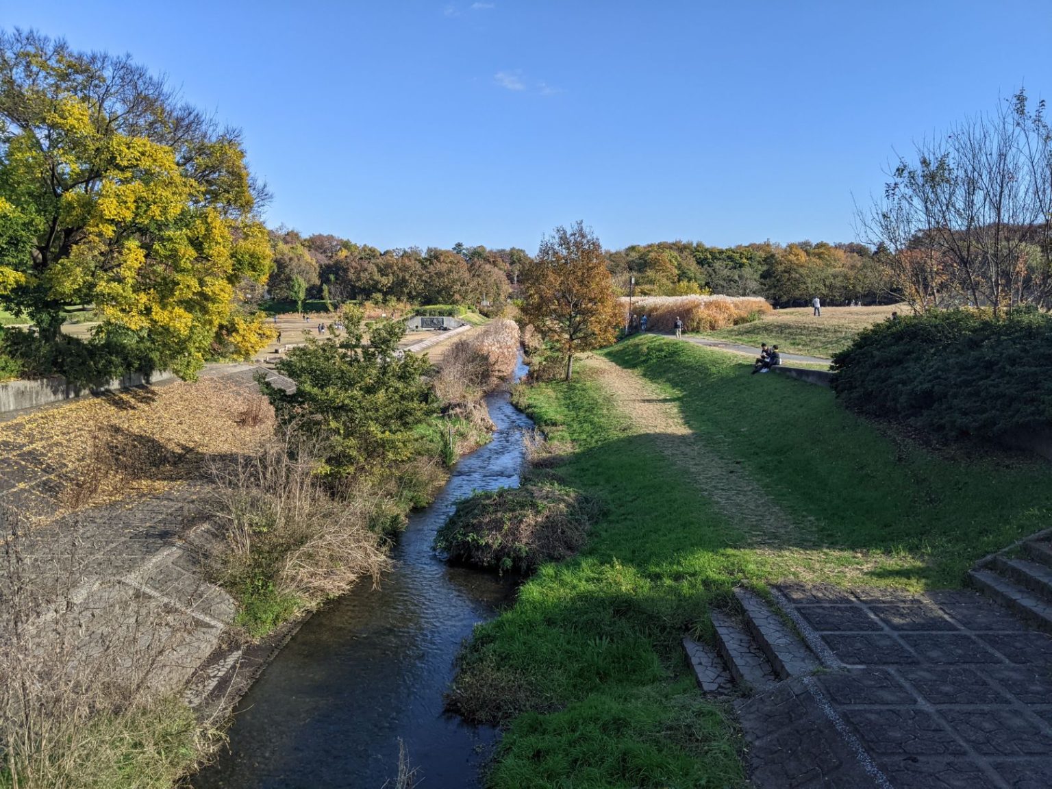 Autumn foliage spots 2022 in the Chuo Line | Japanese Daily Life